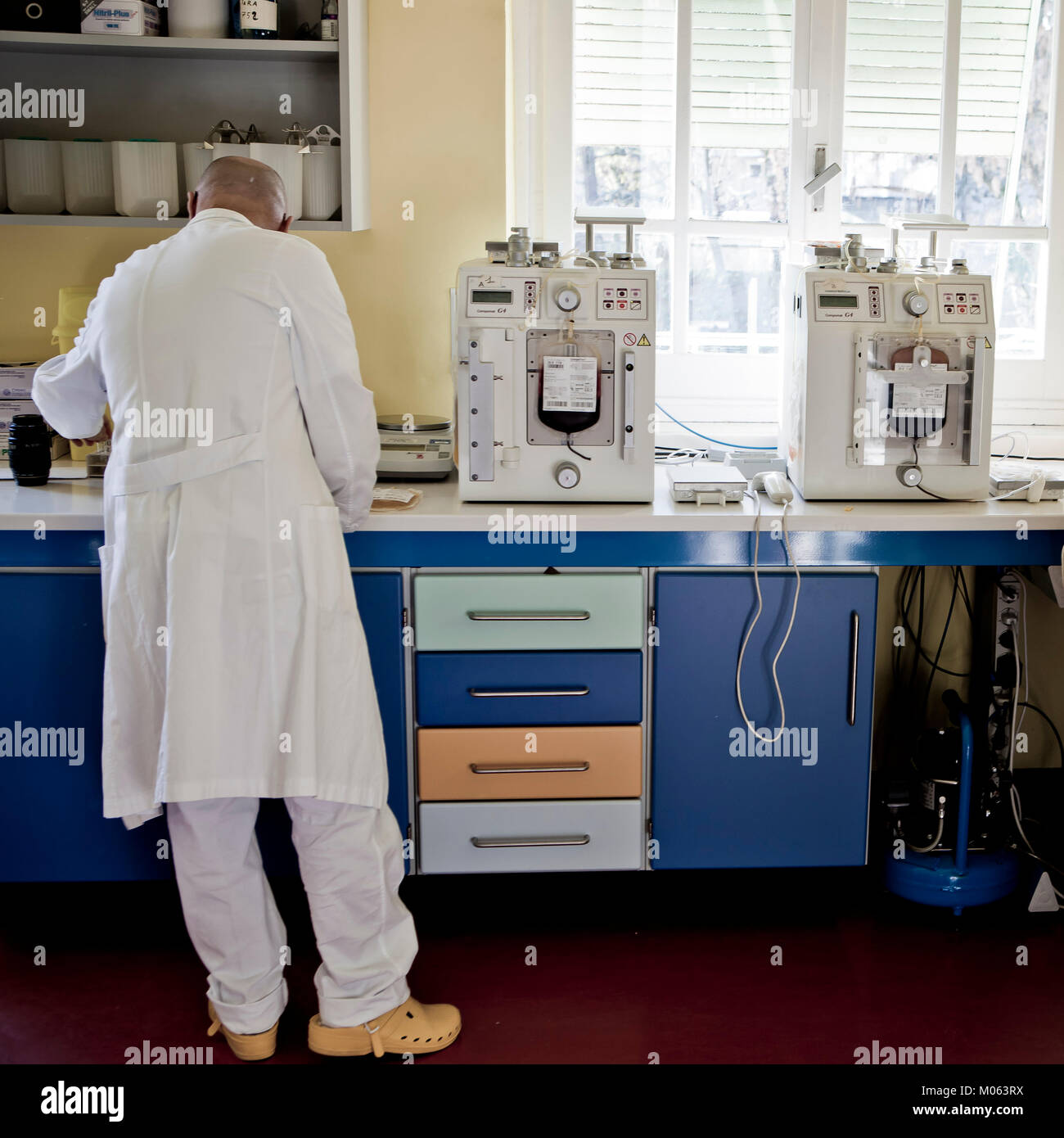 separation machine that separates the concentrated red blood cells ...