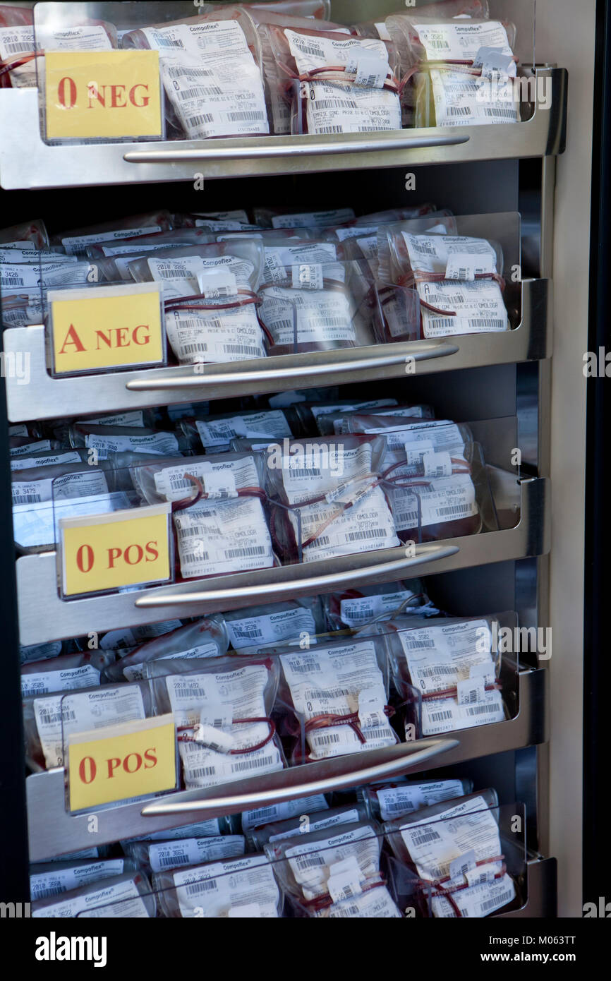 blood bank, transfusion center, hospital in Casale Monferrato, Piedmont ...