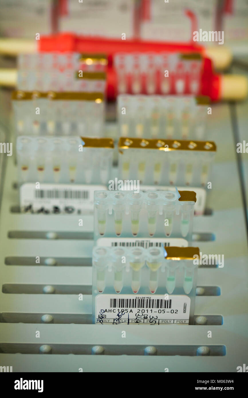 material used to establish blood groups, transfusion center, hospital ...