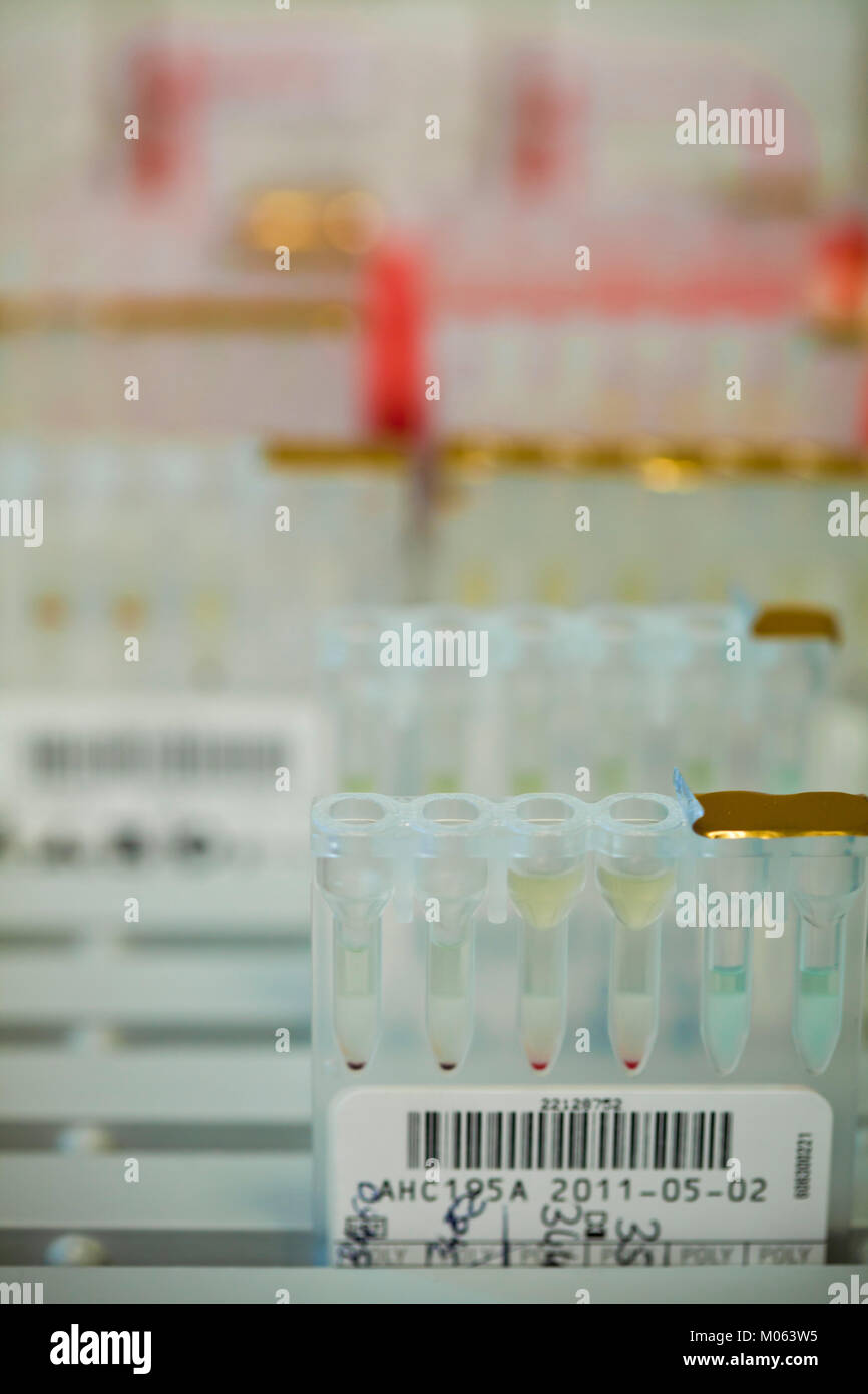 material used to establish blood groups, transfusion center, hospital ...