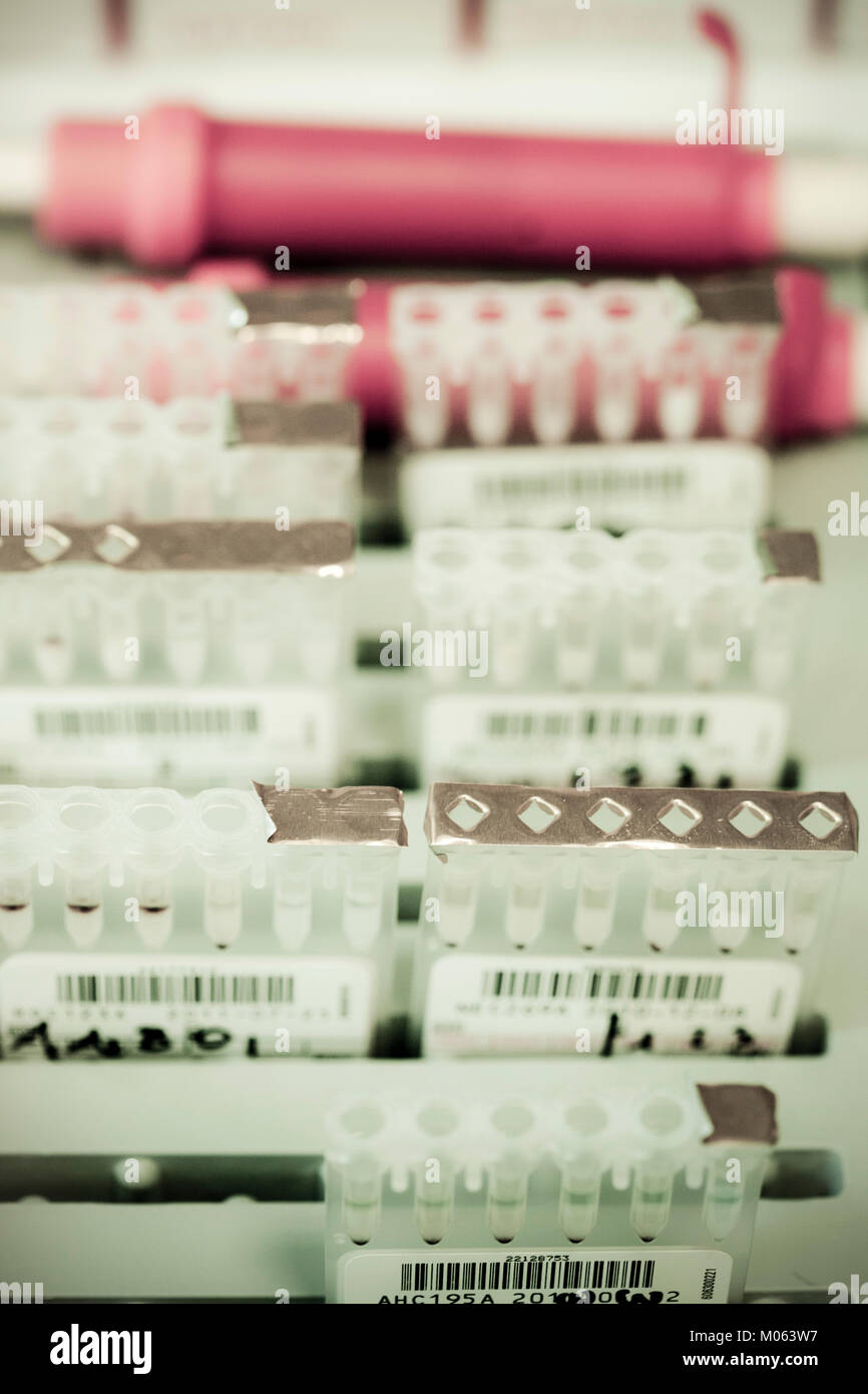 material used to establish blood groups, transfusion center, hospital ...