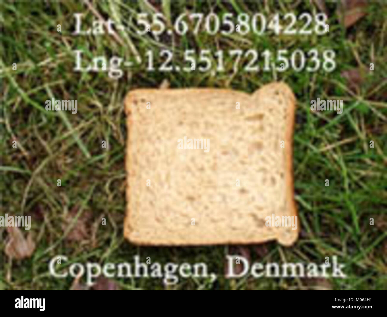 This image depicts a specific layer of bread, providing insight into ...