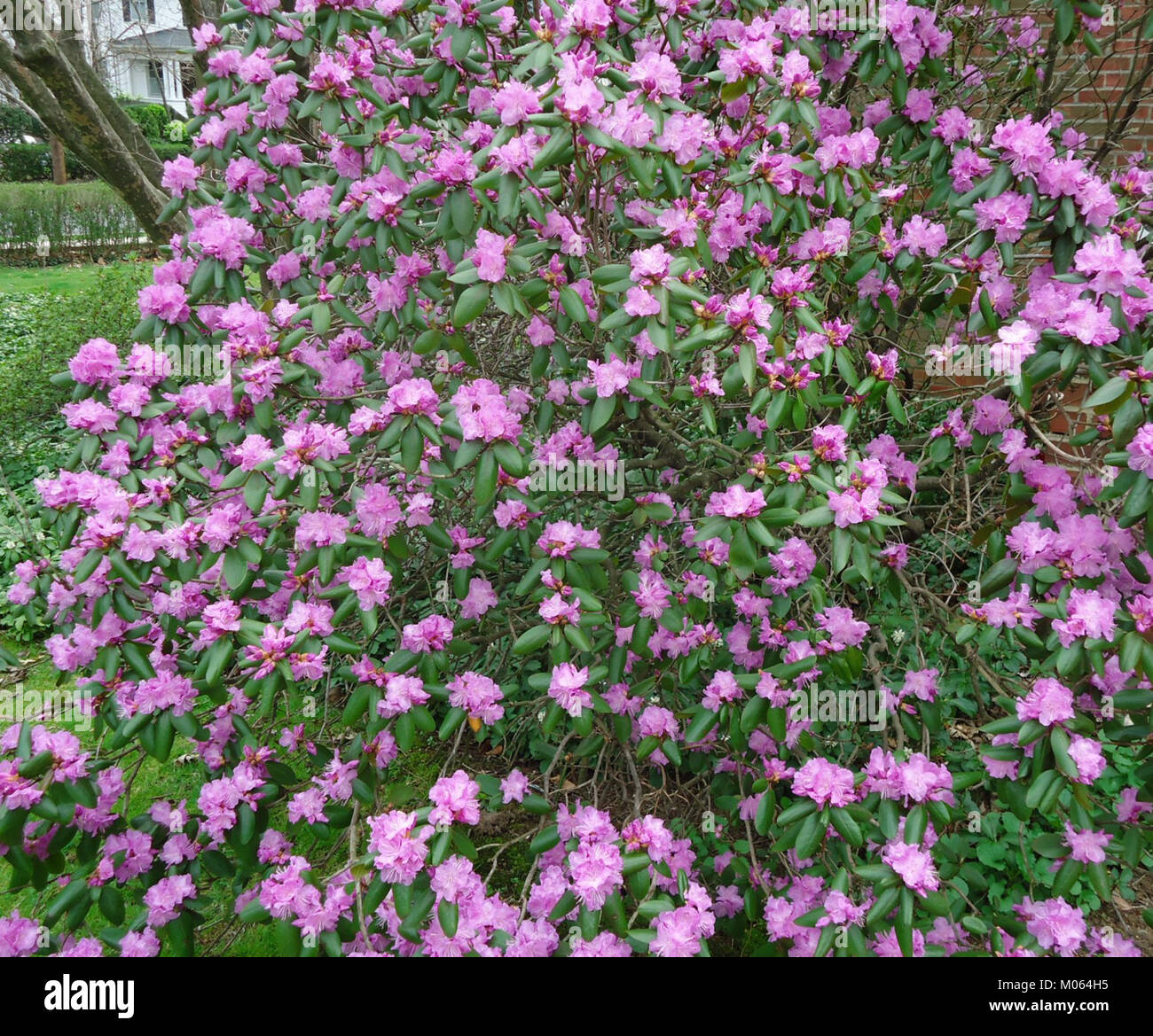 Summit garden hi-res stock photography and images - Alamy