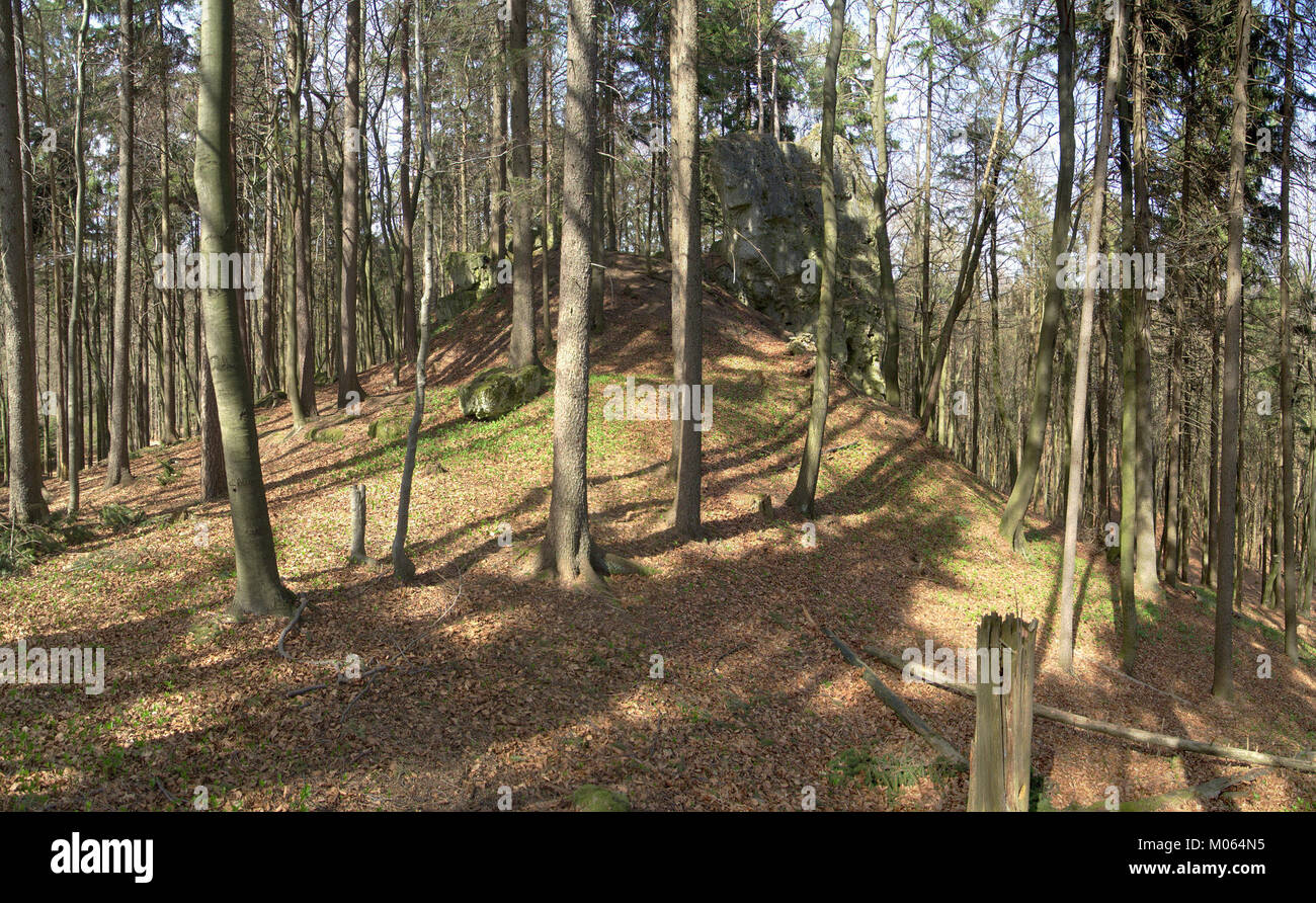 Burgstall Spitzenberg is a historic site in Germany known for its ...