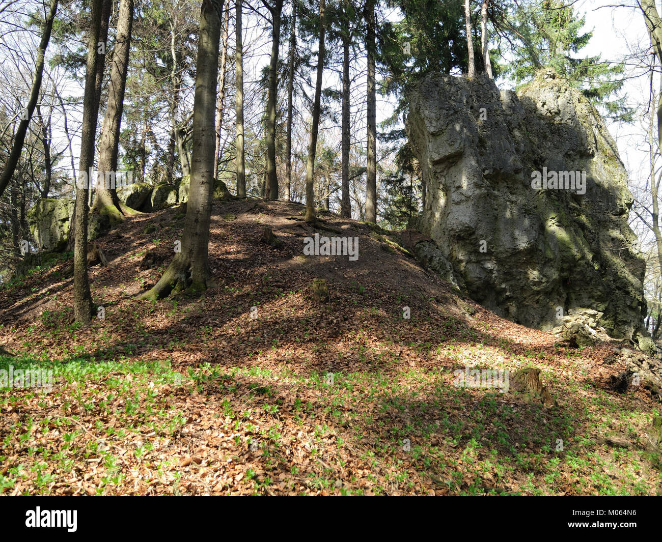 Burgstall Spitzenberg is a historical site, likely referring to a ...