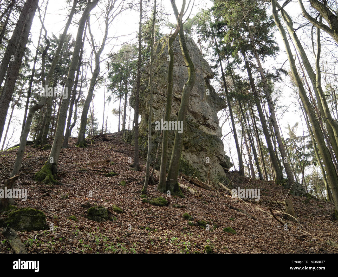 Burgstall Spitzenberg is an archaeological site, likely referring to ...