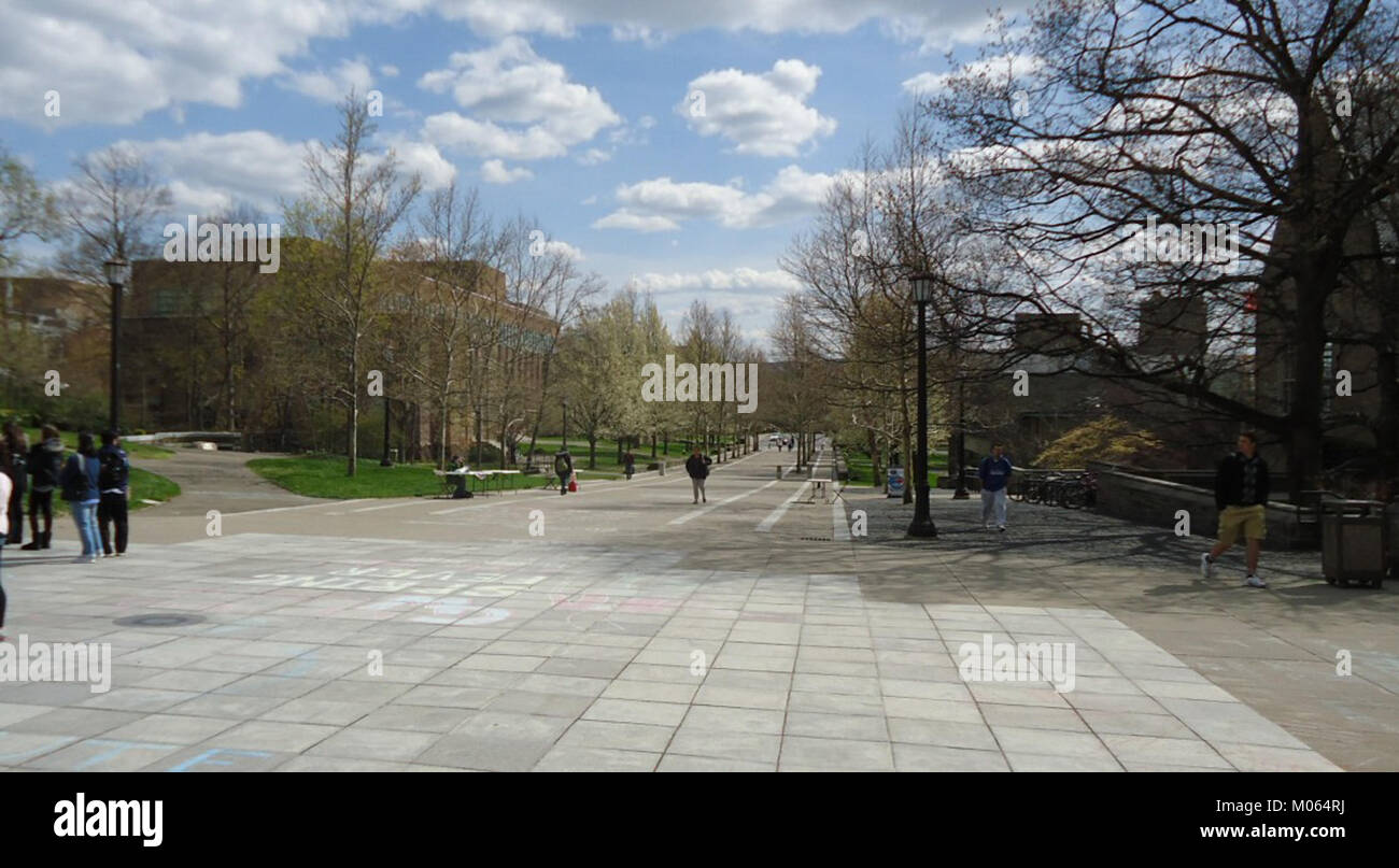 This image depicts a campus walkway at Cornell University, showcasing ...