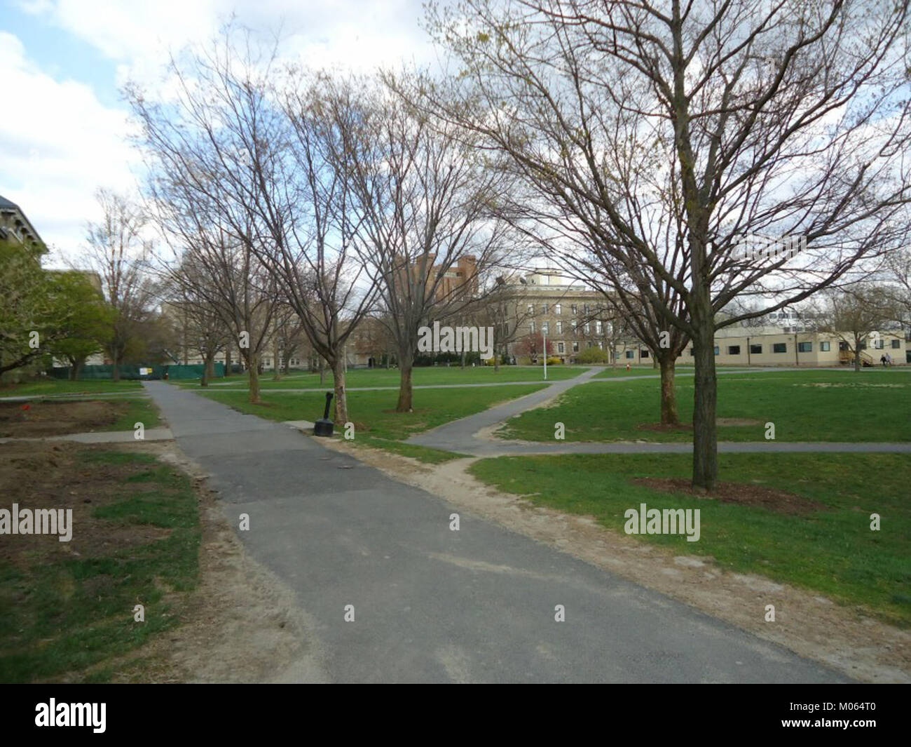 Campus view in April with tree at Cornell University Stock Photo - Alamy