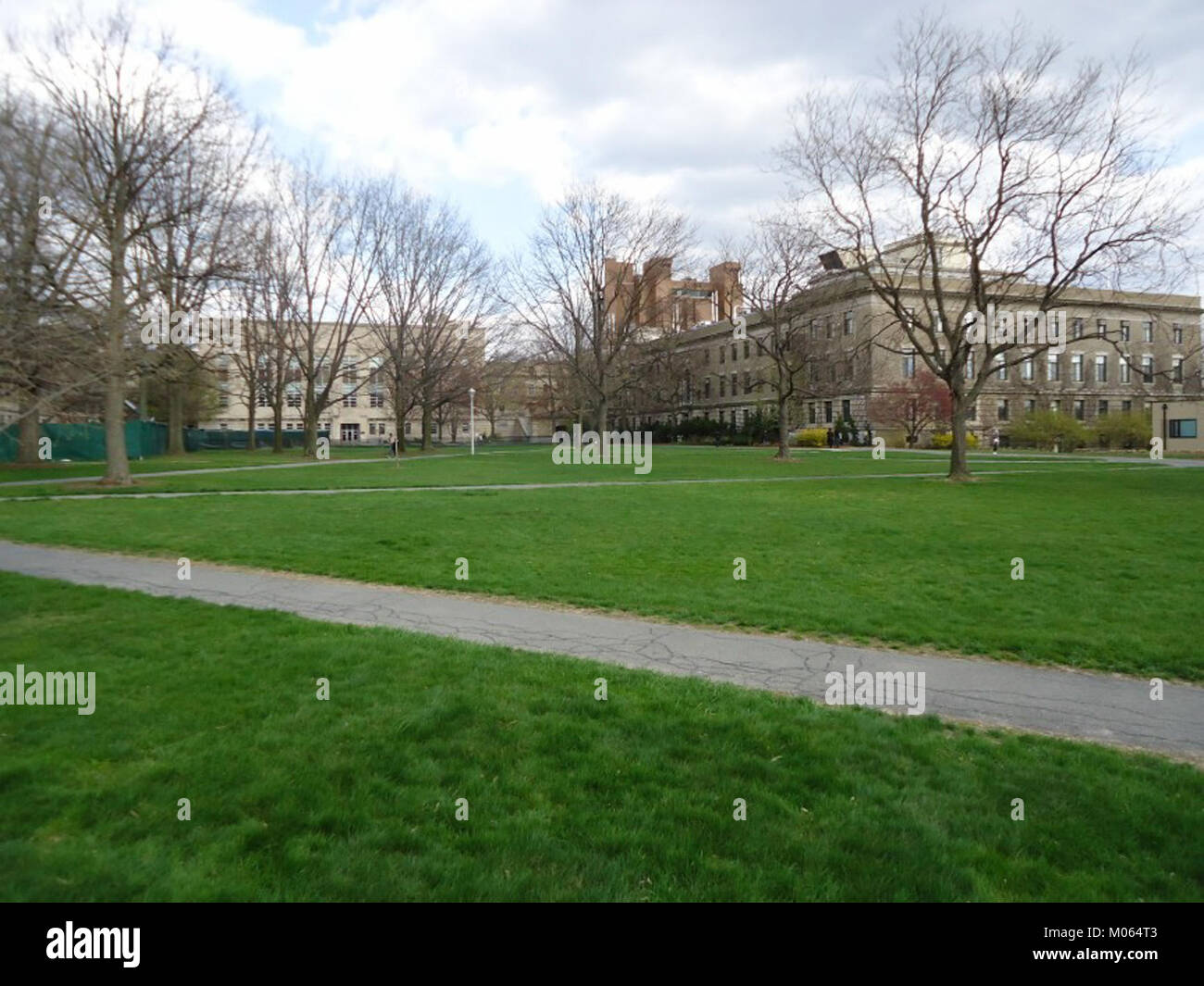 Campus view of quadrangle and grass at Cornell University Stock Photo ...
