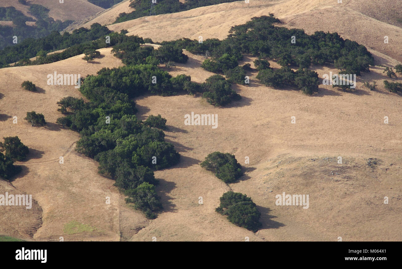 The Morro Bay area in San Luis Obispo (SLO) County, California, is ...