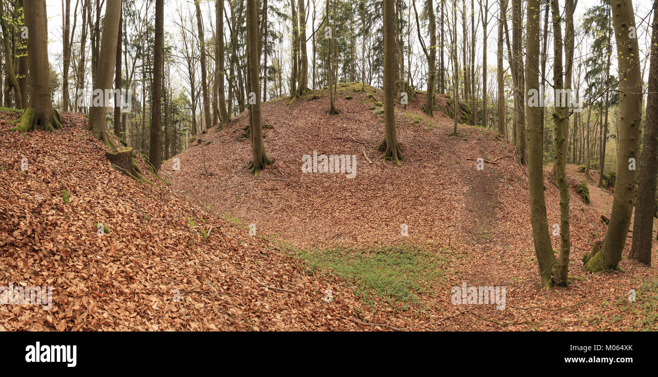 Burgstall Scharfenberg refers to the site of a medieval castle ruin ...