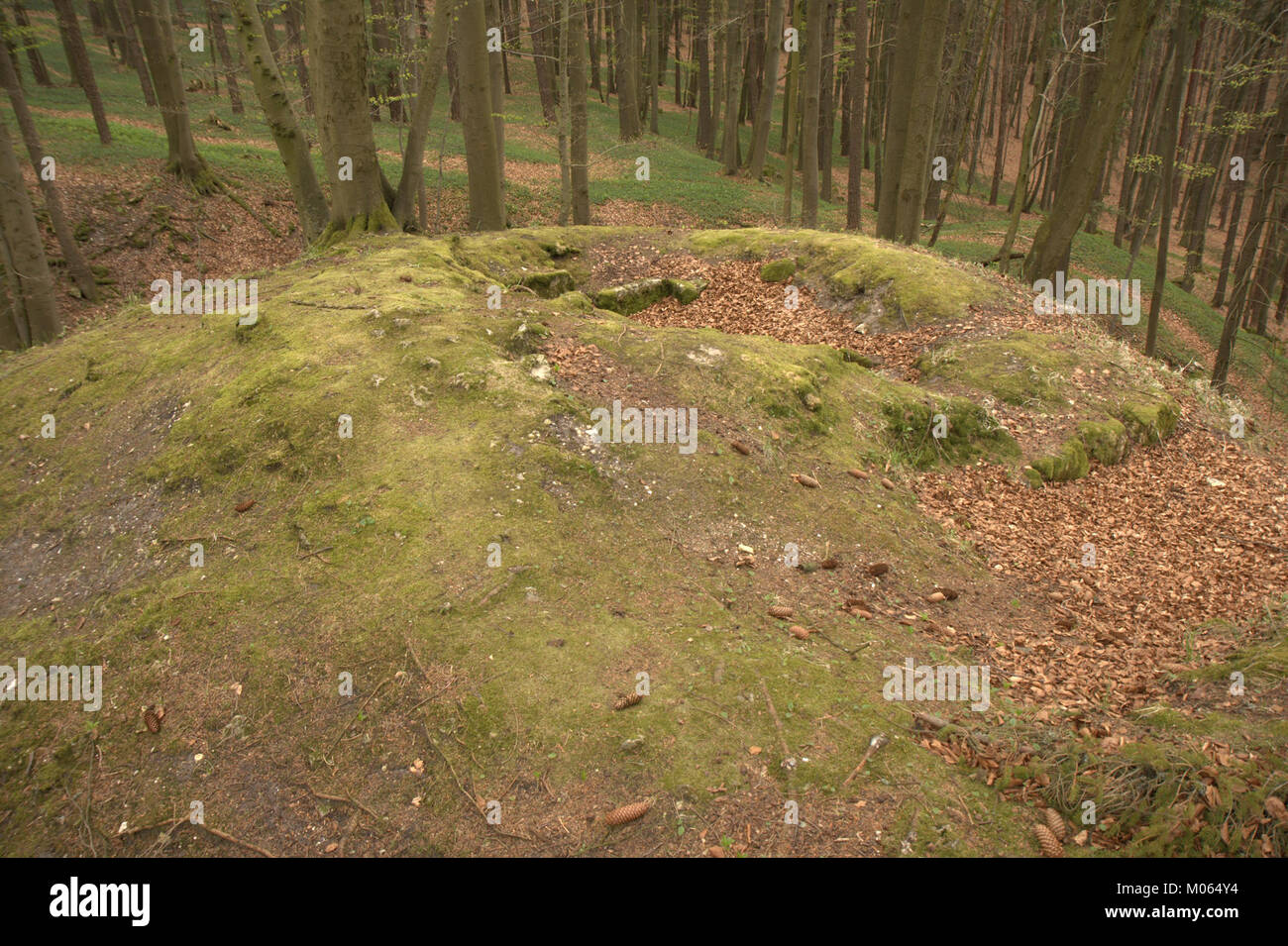 Burgstall Scharfenberg is an archaeological site featuring the ruins of ...