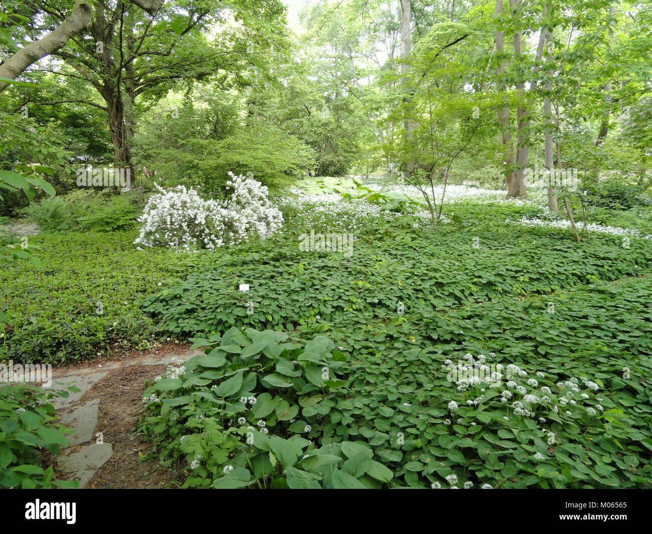 The Botanischer Garten Freiburg is a botanical garden in Freiburg ...