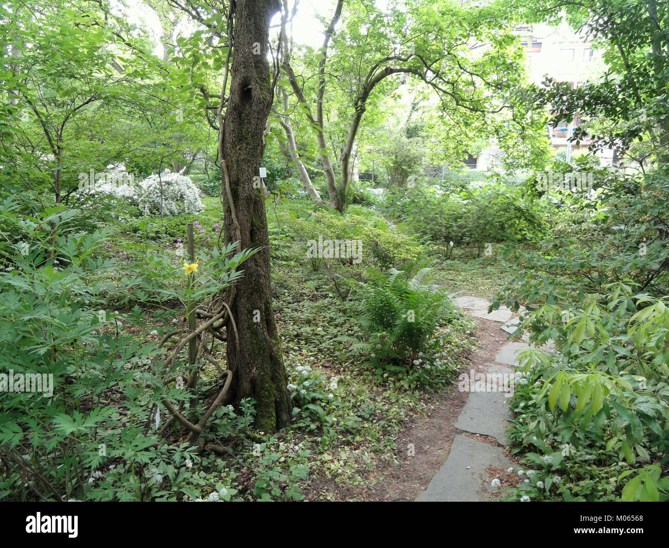 The Botanischer Garten Freiburg is a botanical garden located in ...