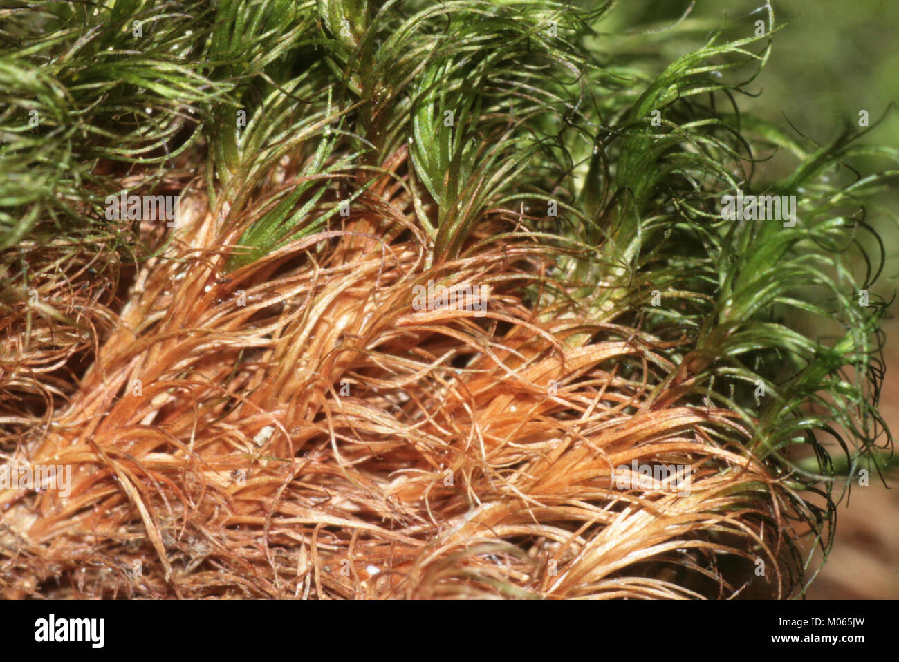 3996 hi-res stock photography and images - Alamy