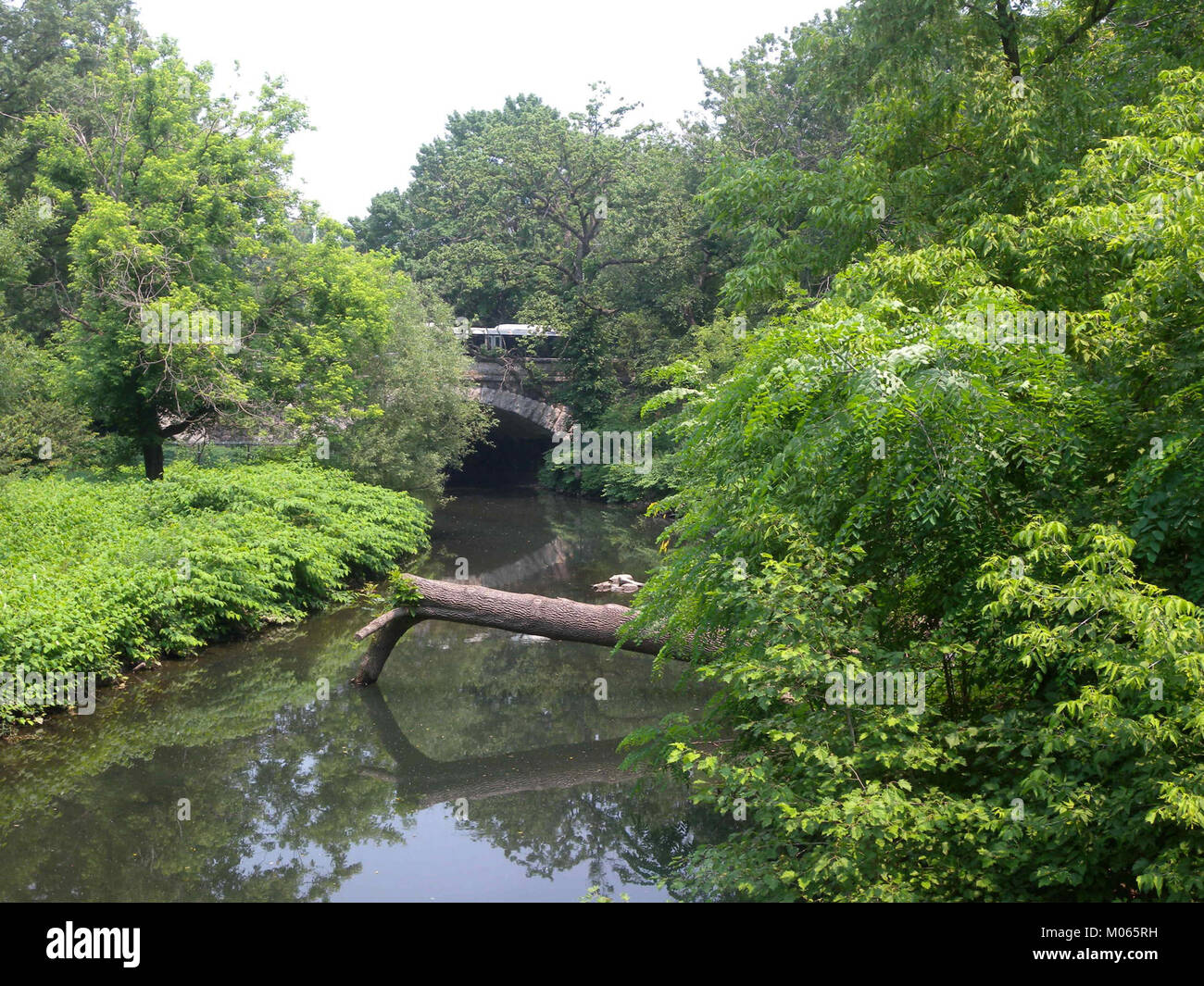 A photograph of the Bronx River's northern section, with a view of the ...