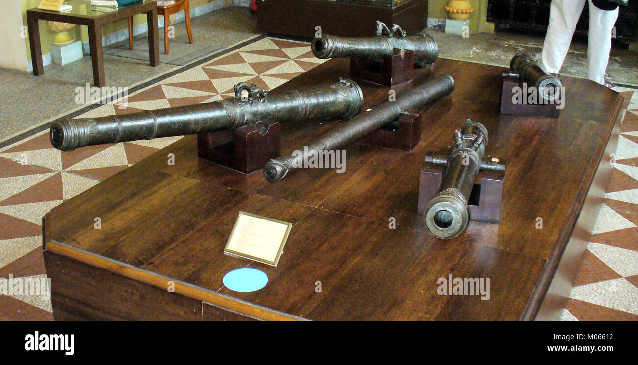 The Cannons R17GIM refers to a specific model or type of cannon ...