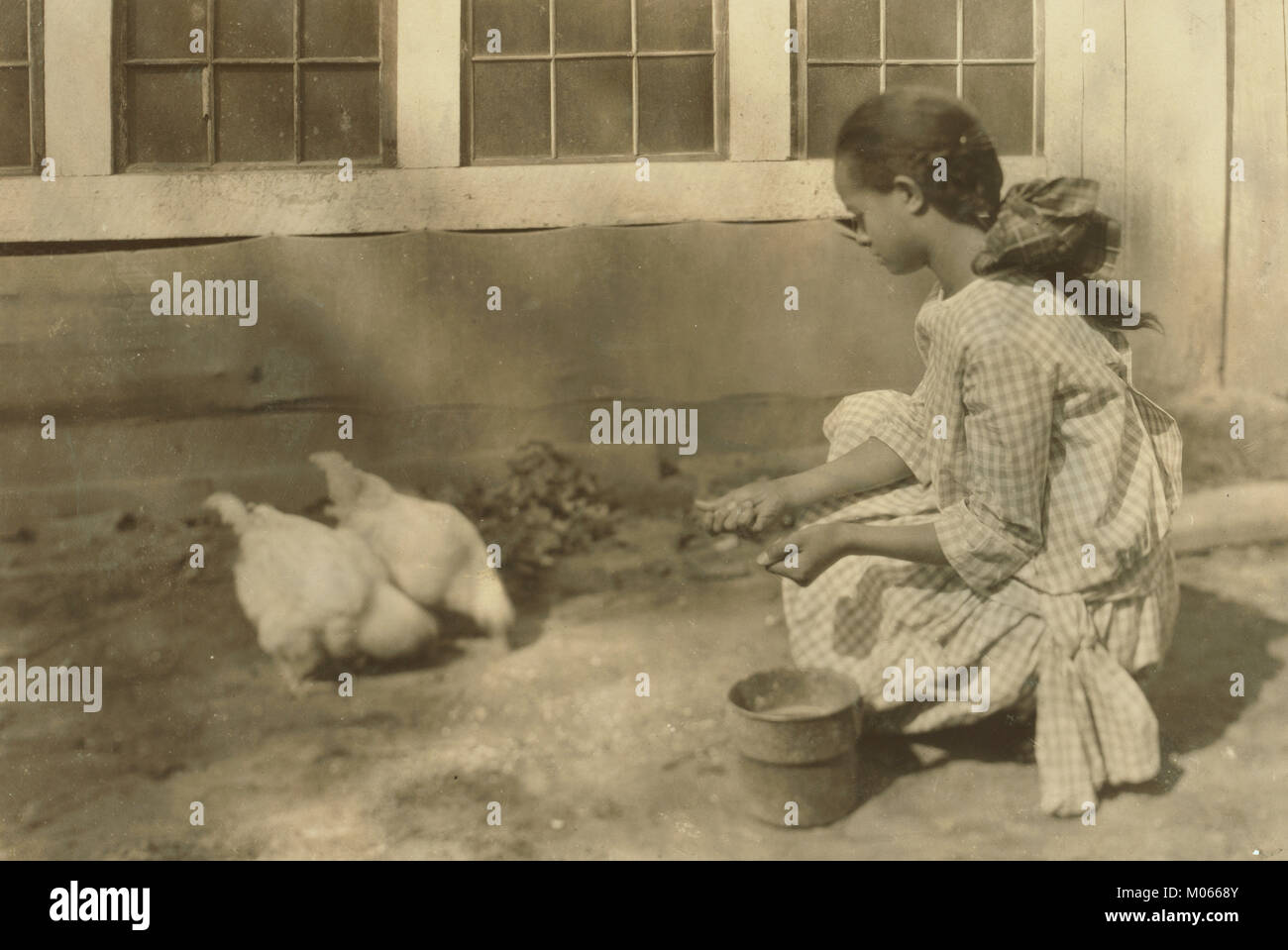Alice Cooper and her poultry Stock Photo - Alamy