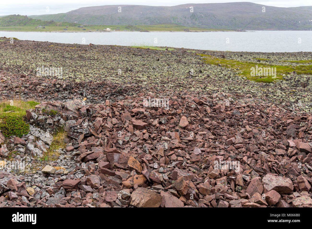 Stony coast of the Barents Sea, Finnmark, Norway Stock Photo - Alamy