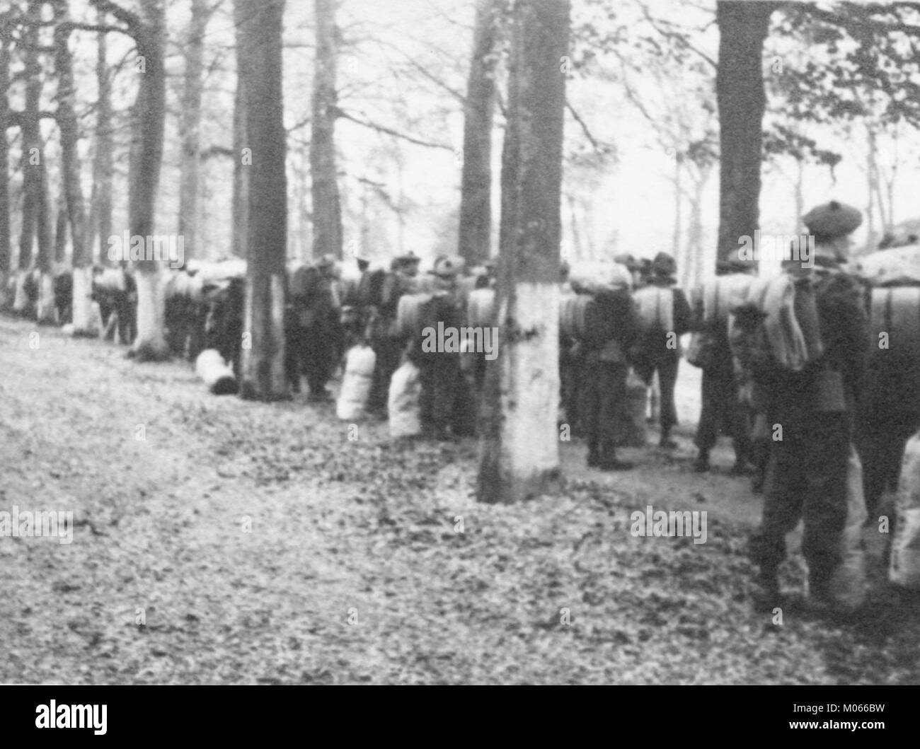 Military repatriation canadian troops hi-res stock photography and ...