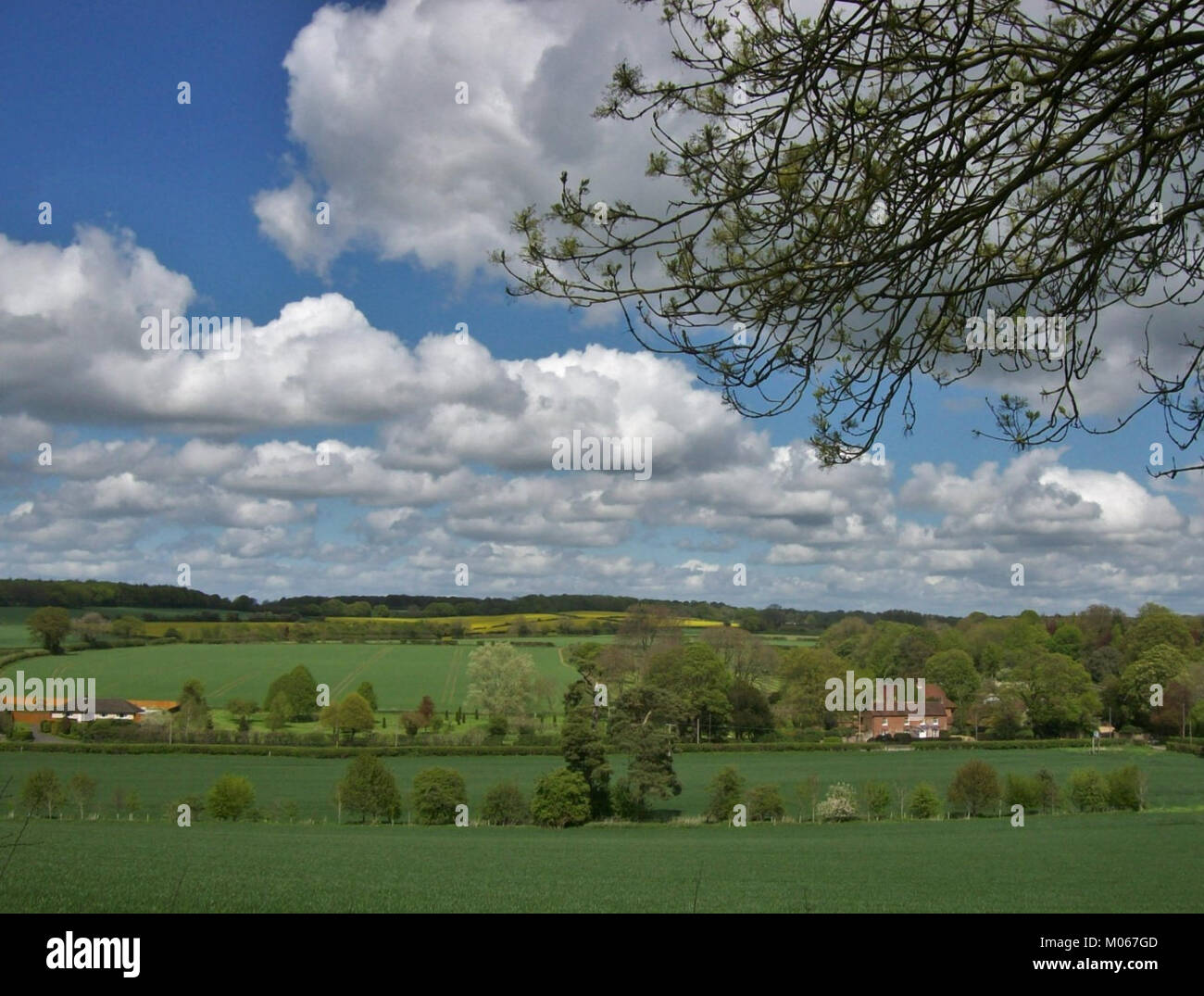 Bramdean hi-res stock photography and images - Alamy