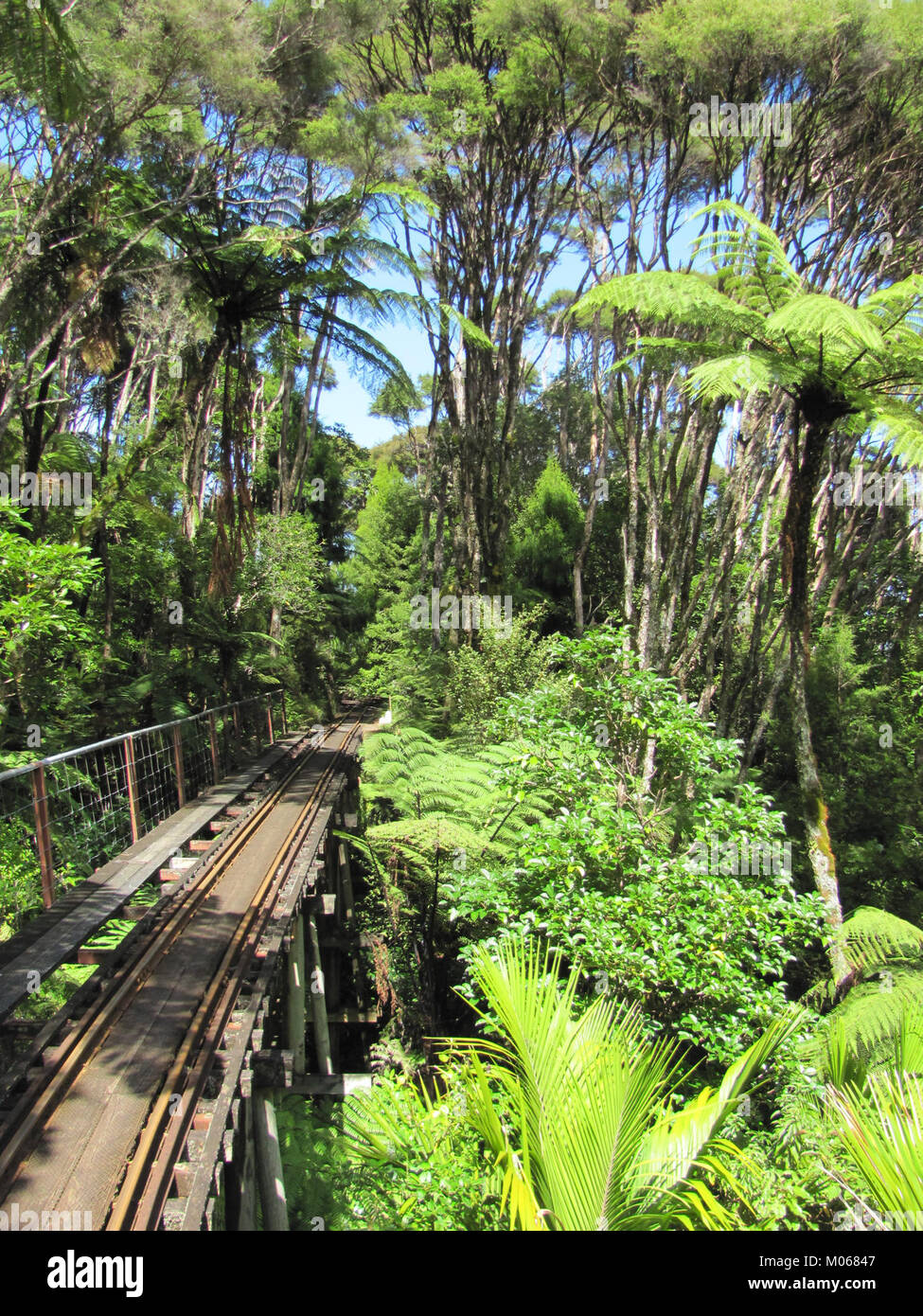 Dcr hi-res stock photography and images - Alamy