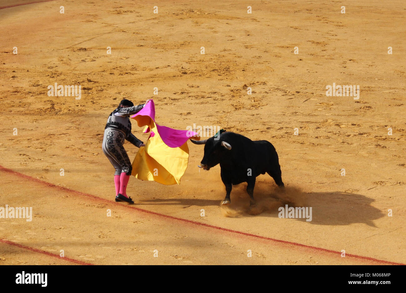 This artwork depicts a traditional bullfight in Seville, Spain. The ...