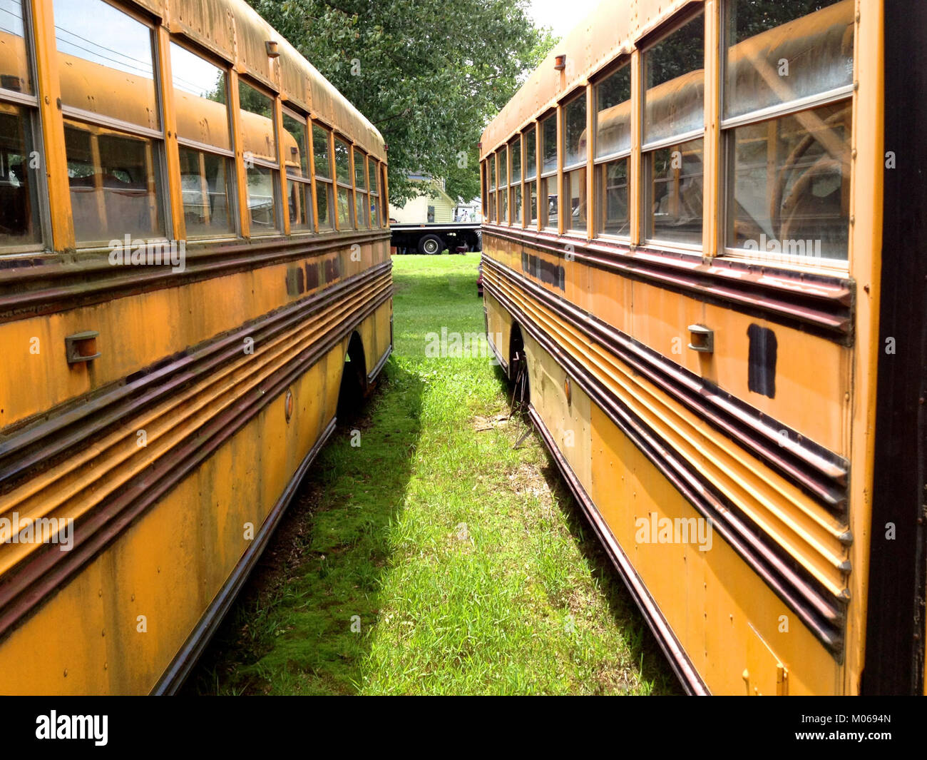 Bus Bus Parallelism (7234471488 Stock Photo - Alamy
