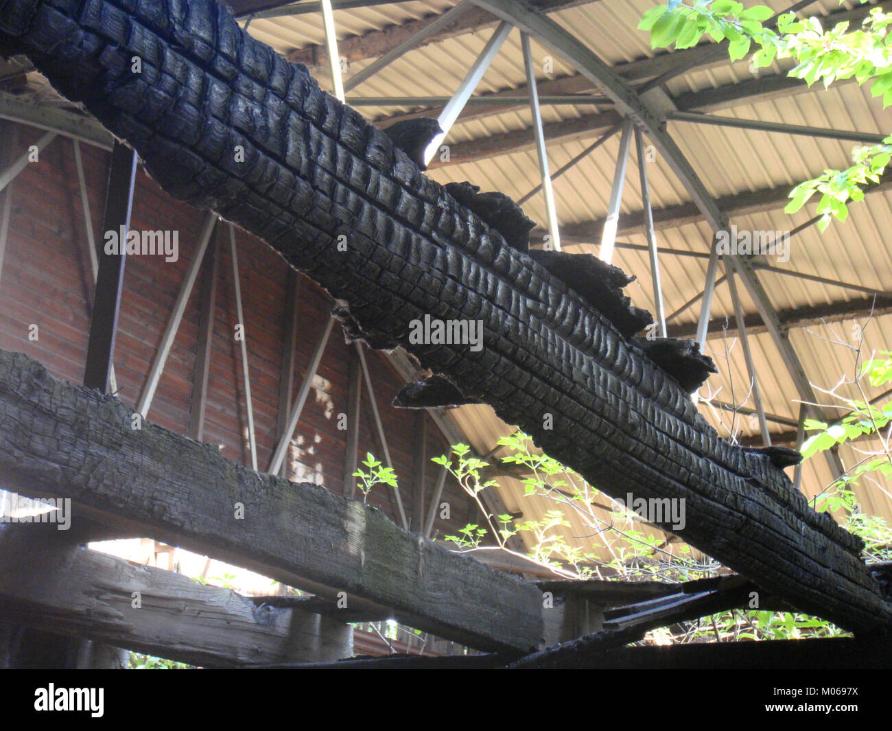 This charred wooden beam, labeled 'Bvg-verkohlter-holzbalken' (charred ...