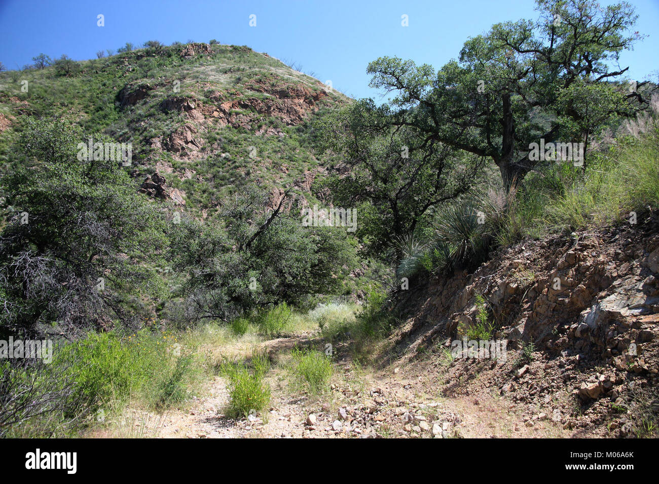 California Gulch 001a 9 16 12 Approach Into Canyon 01 7995801459