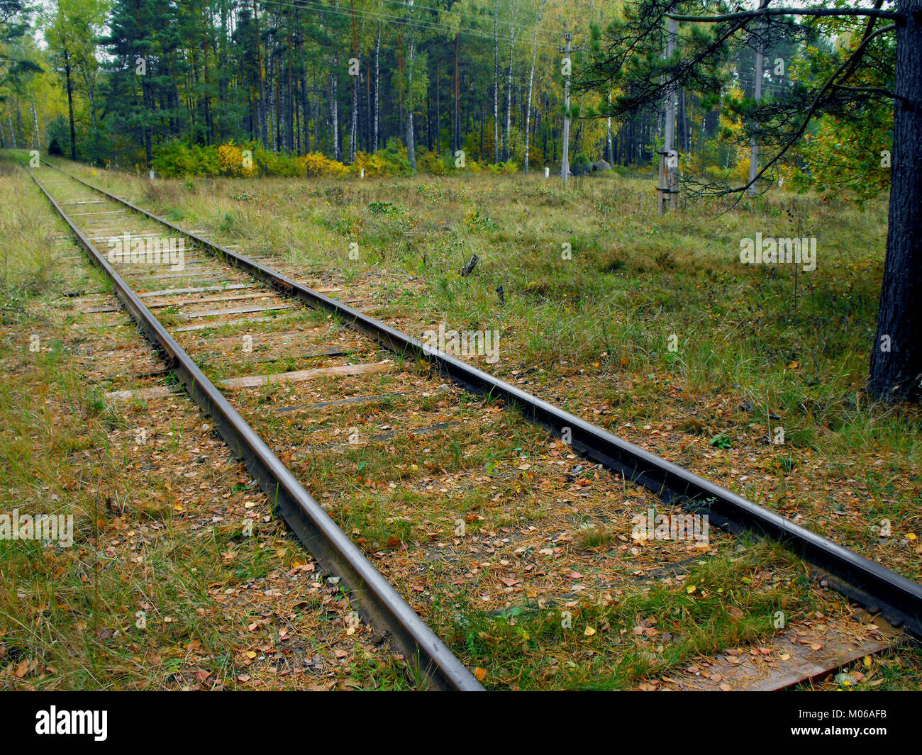Bronna Gora, a historical site of execution, holds cultural and ...