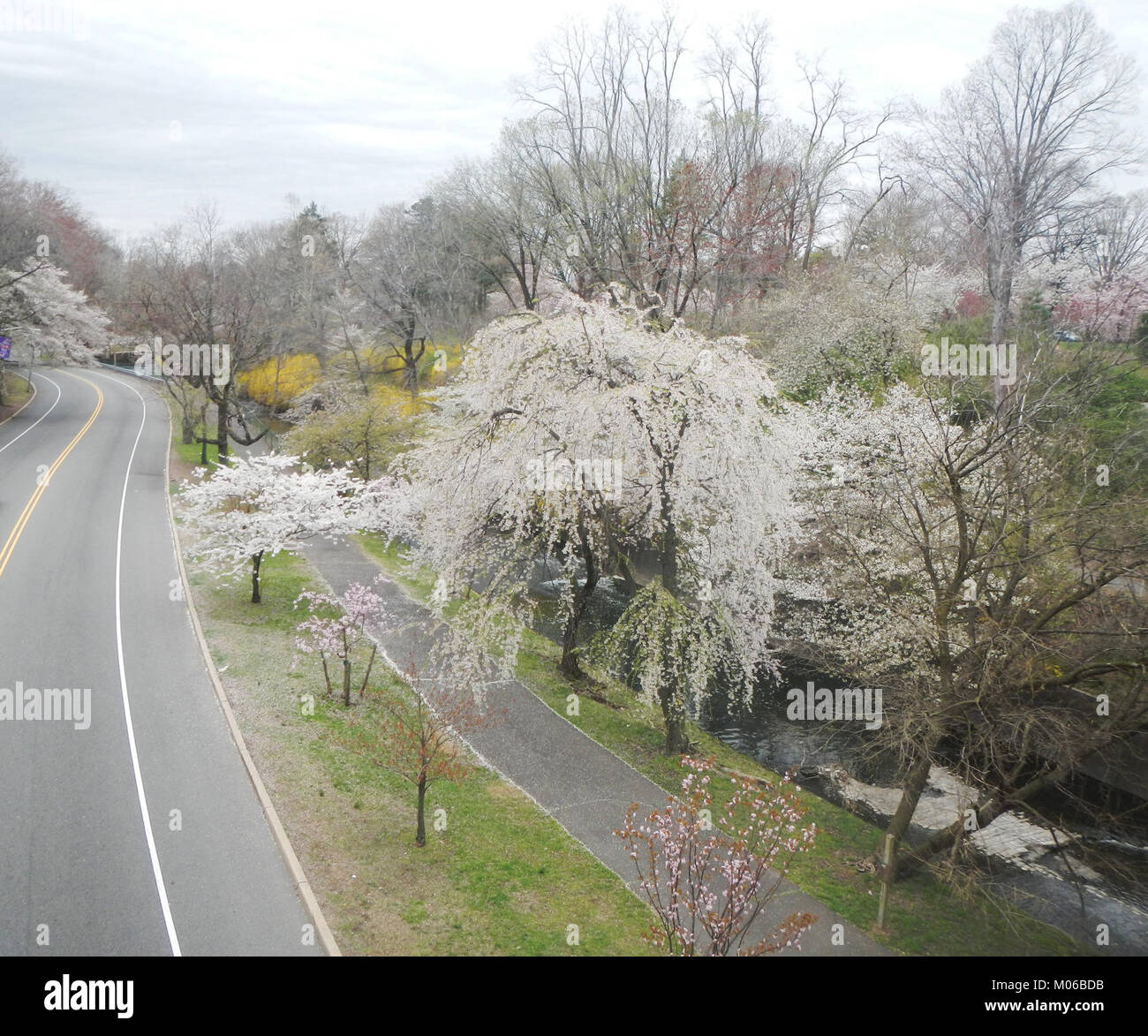 This image depicts Branch Brook Park East, viewed from the second river ...