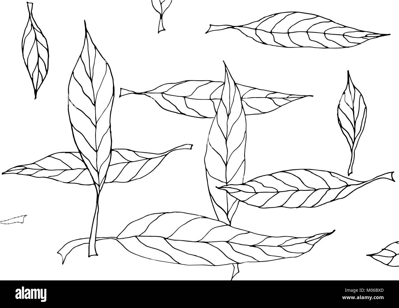 Ornate line vector Black and White Stock Photos & Images - Alamy