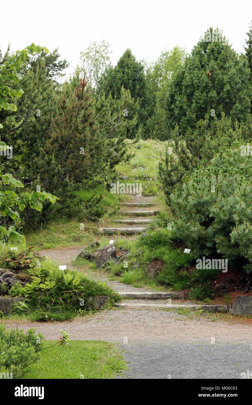 This photograph captures the beauty of the Botanical Gardens of Oulu ...