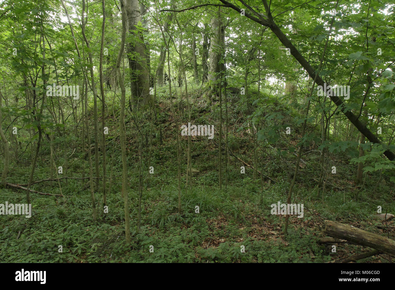 Flag icon illustrated in hi-res stock photography and images - Alamy