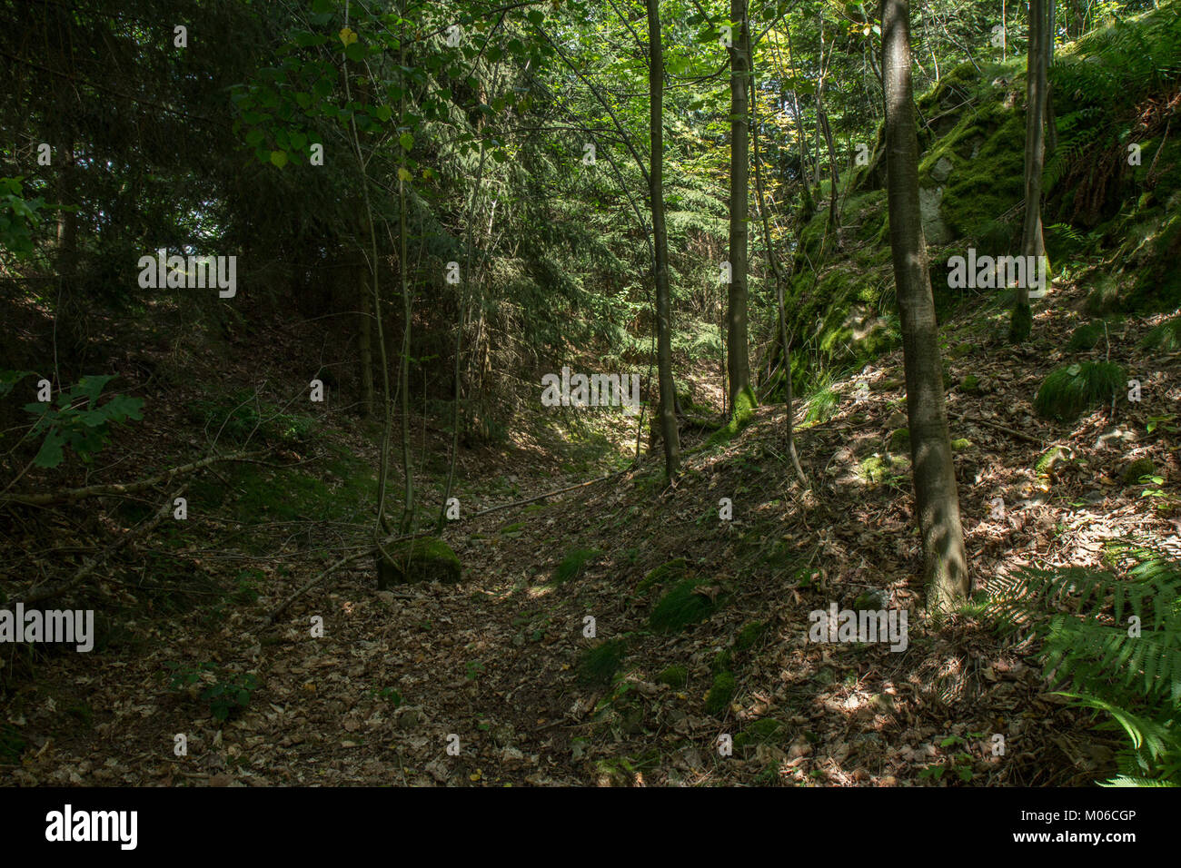This image depicts the Burgstall Ramberg, a location of historical ...