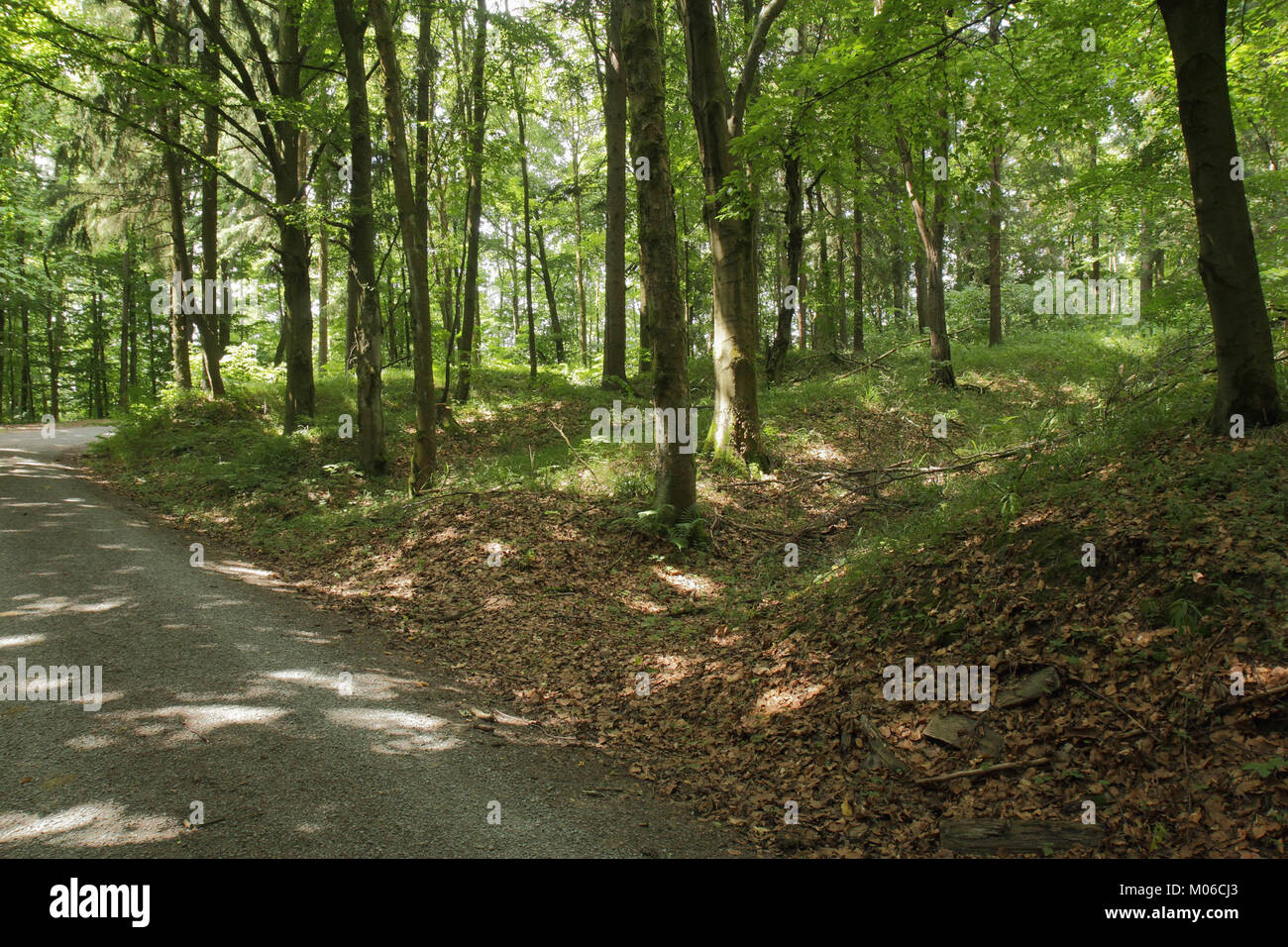 Burgstall Wallenrode is an architectural structure known for its ...