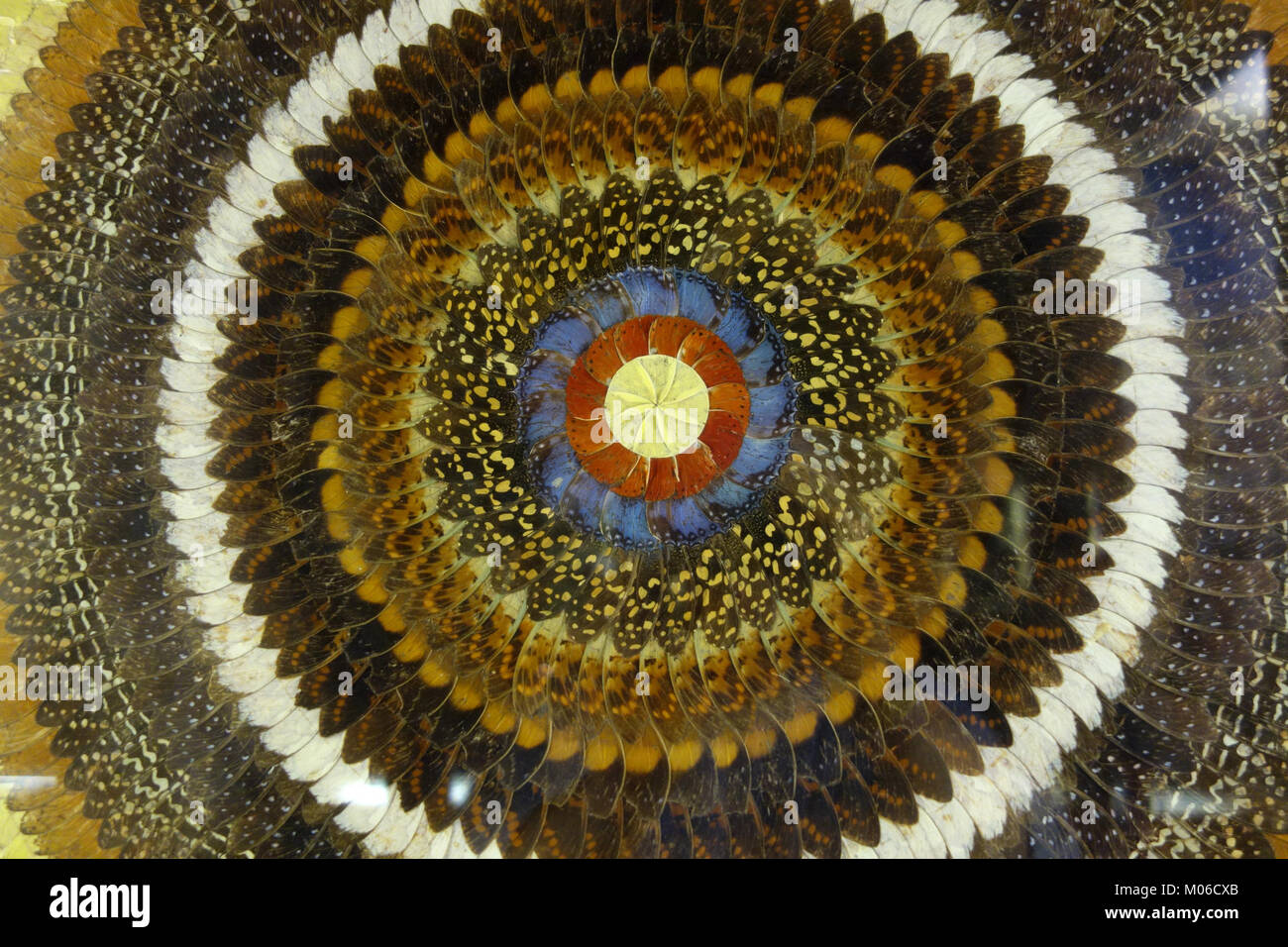 1990s central african republic hi-res stock photography and images - Alamy