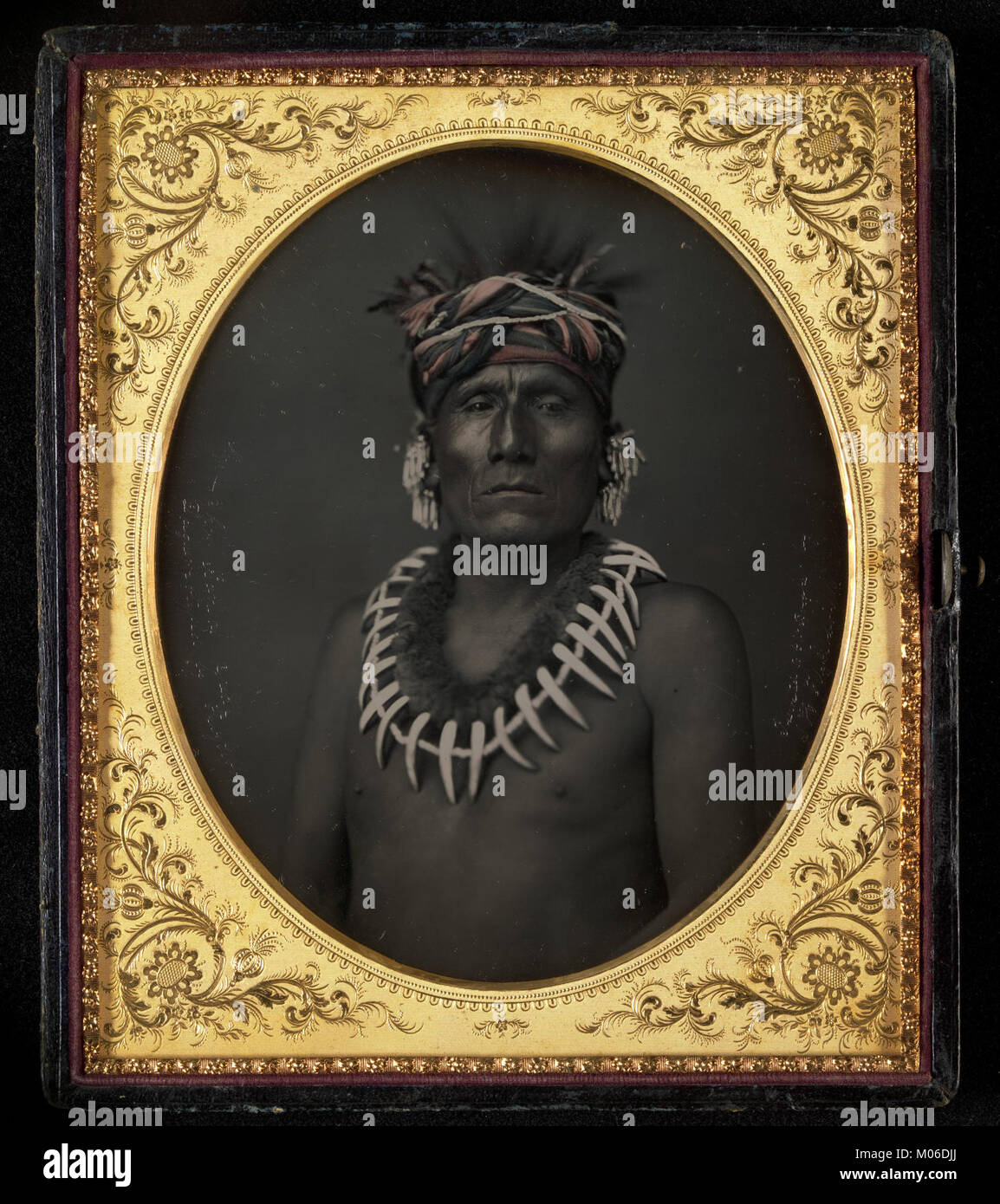 This portrait represents Kno-Shr, a Kansas Chief, capturing the ...