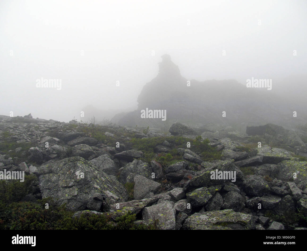 foggy landscape of a high mountain plateau with boulders and tundra ...