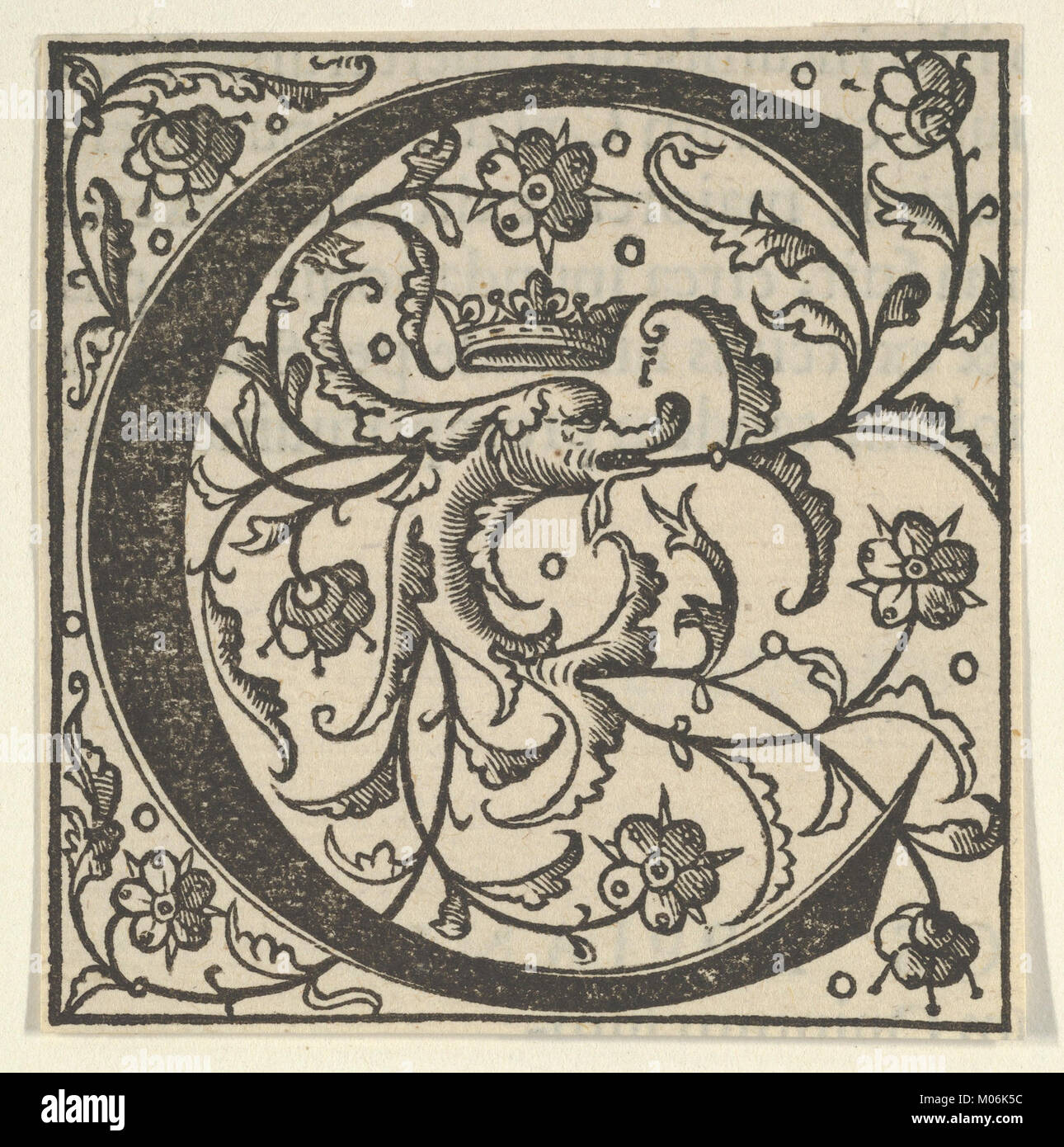 Medieval illuminated letter c hi-res stock photography and images - Alamy