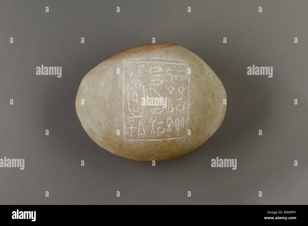 Clam shaped hi-res stock photography and images - Alamy