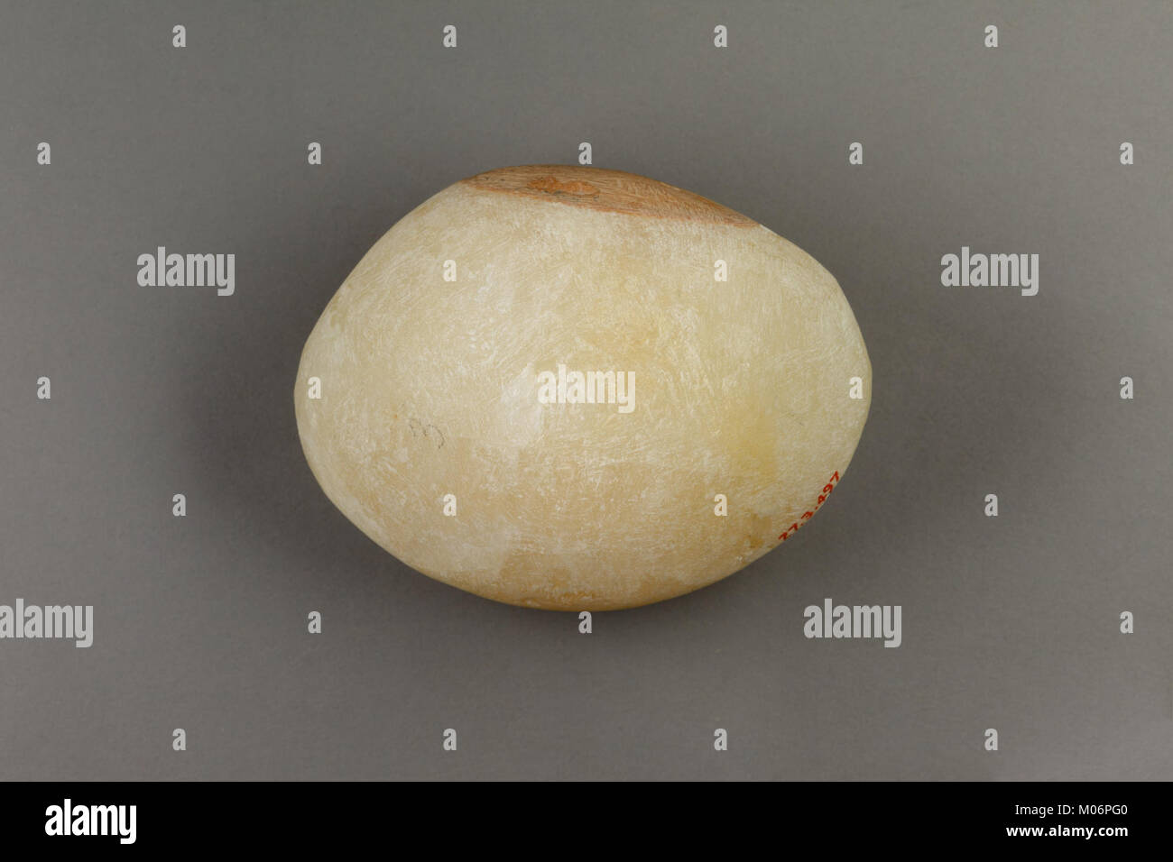 Clam shaped hi-res stock photography and images - Alamy