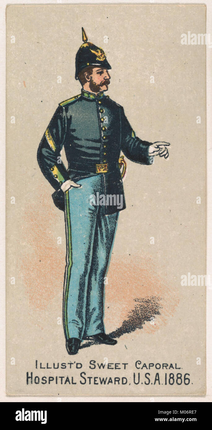 Hospital Steward, United States Army, 1886, from the Military Series ...