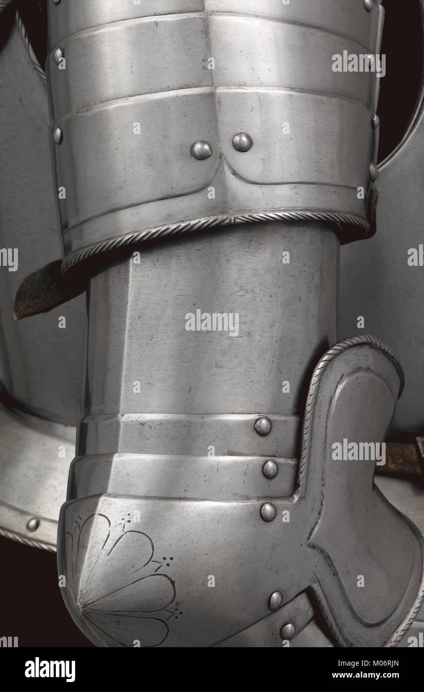 Meticulous horse hi-res stock photography and images - Alamy