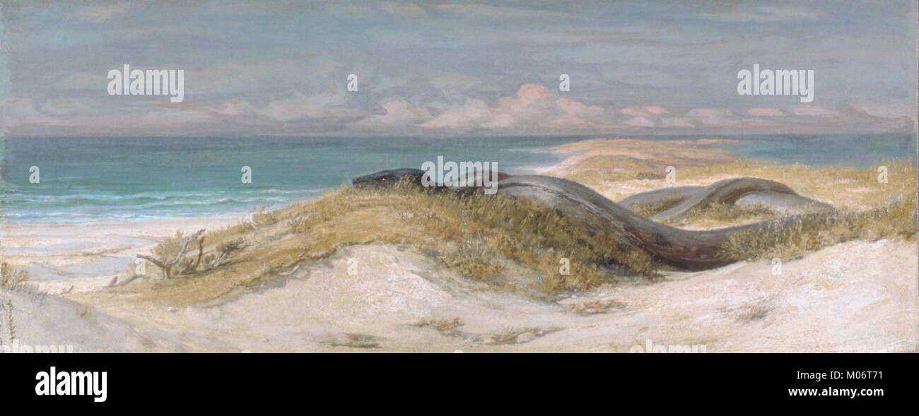 Sea serpent design hi-res stock photography and images - Alamy