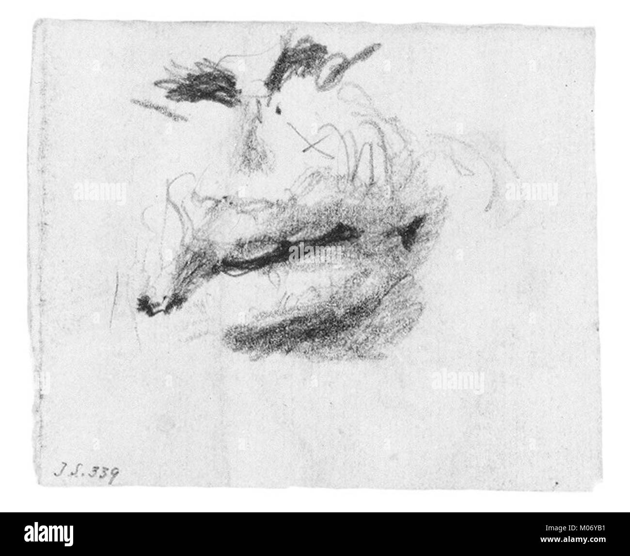 This artwork 'Nostrils and Lips' emphasizes human facial features ...