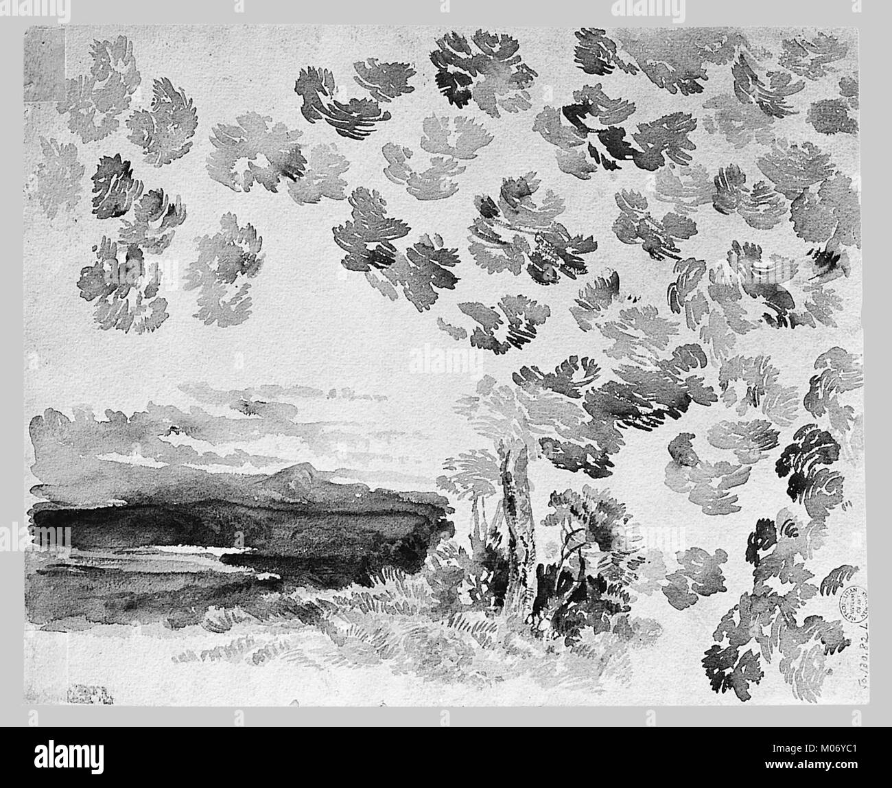 This artwork features detailed leaves, demonstrating botanical ...