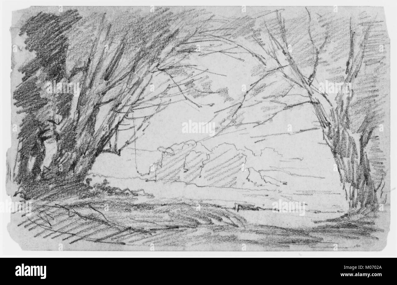 Collection of detailed sketches Black and White Stock Photos & Images ...