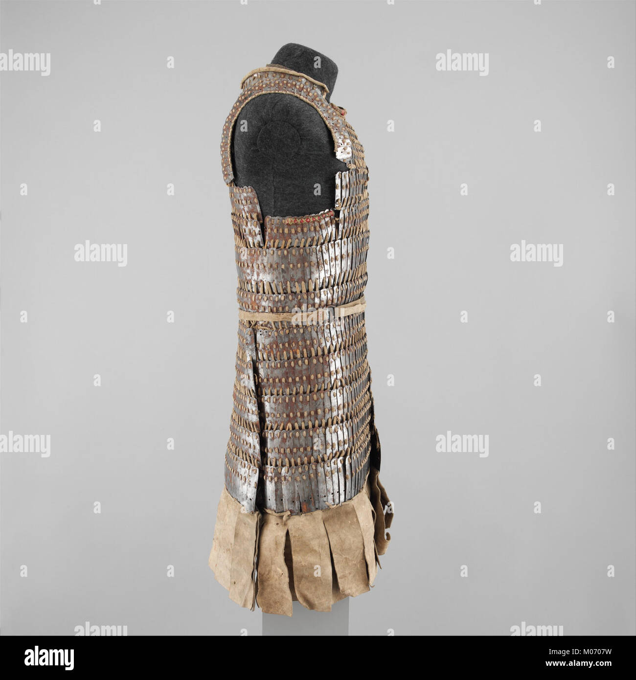 Lamellar Armor High Resolution Stock Photography and Images - Alamy